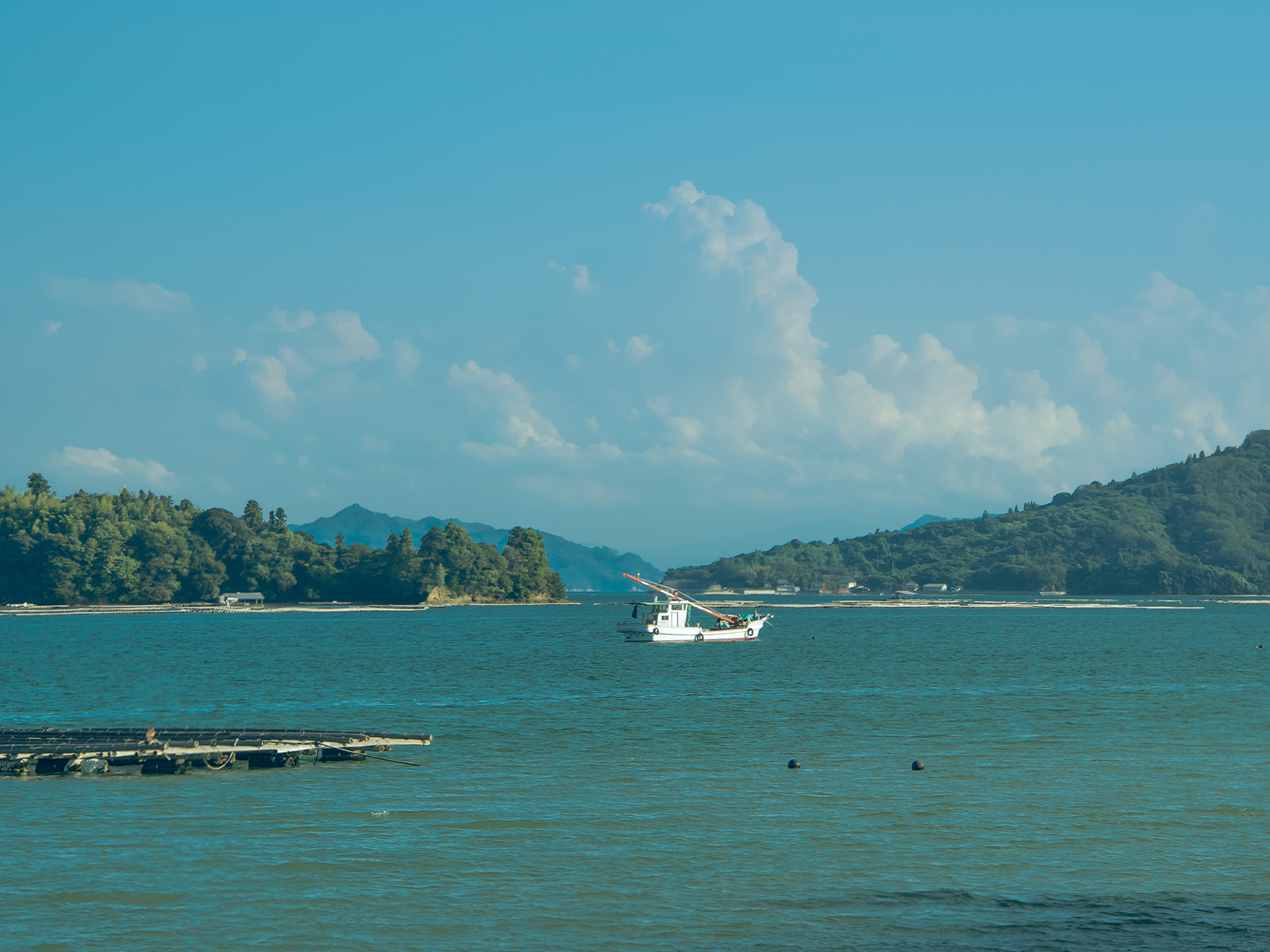 about – La Seto